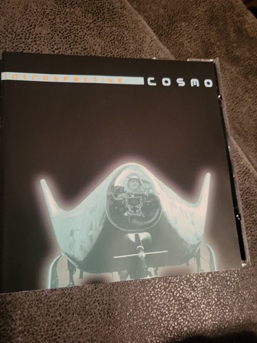 Cosmo Introspective Rare Alternative Hard Rock CD EP 2000 Lunarcosmo | eBay