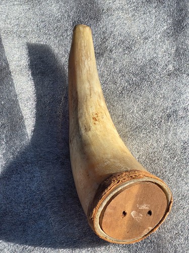 Steer Horns Powder Horn Crafts Gun Decor Horn Antler Man Cave ...