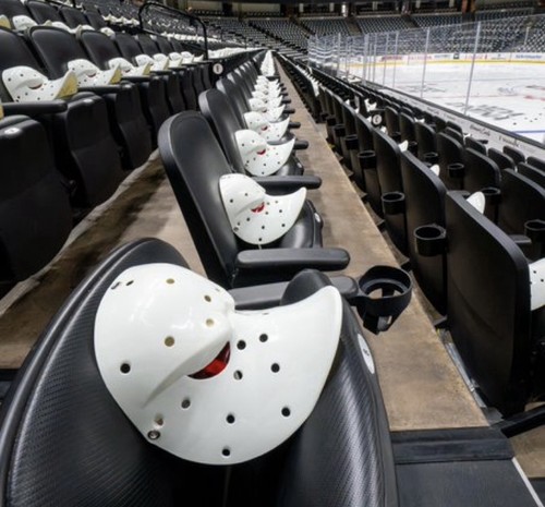 Anaheim Ducks SGA Home Opener 10/14/25 Wild Wing Hockey Mask White | eBay