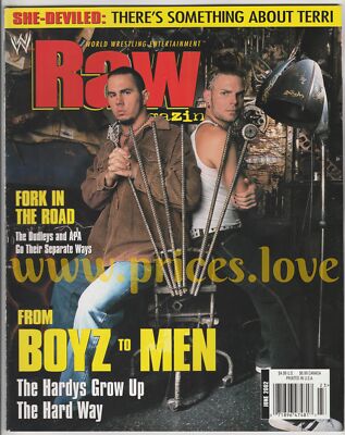 WWE RAW Wrestling Magazine June 2002 Hardy Boyz Terri POSTER WWF Dudley ...