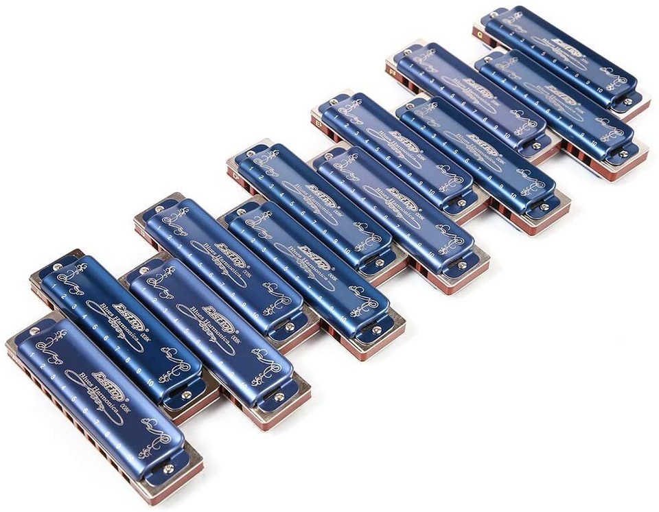 EASTTOP T008K-12 Diatonic Blues Harmonica Set Of 12 10Holes Harp Mouth ...