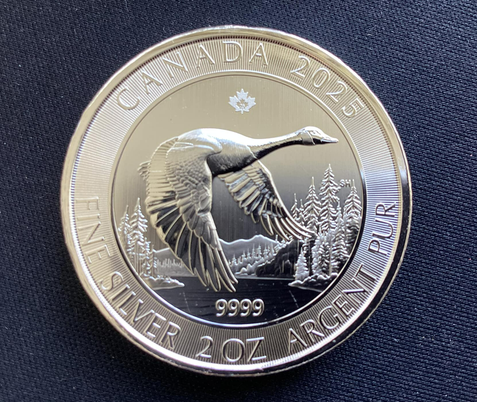 2025 2oz Canada goose silver coin | eBay