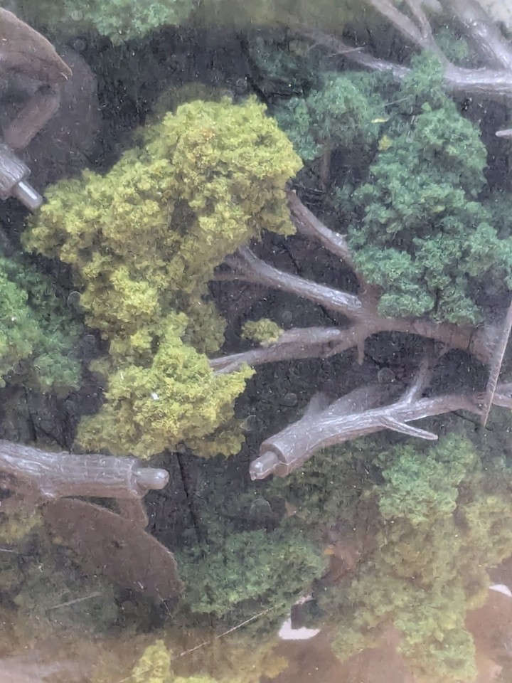 Woodland Scenics # TR 1572 14 DECIDUOUS TREES pack HO, S & O scale | eBay