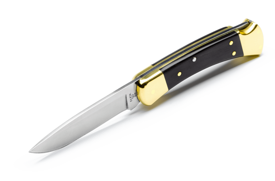 Buck Drop Point 110 Folding Hunter Knife 0110BRS6-B 420HC USA Made ...
