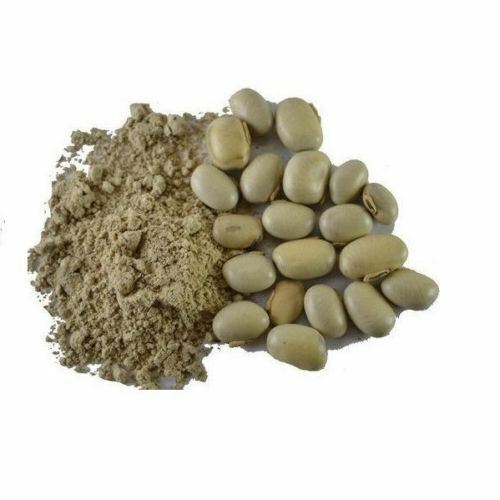 KAUCHA, Velvet Bean, Mucuna Pruriens, Indian Herbs Powder, Natural and ...