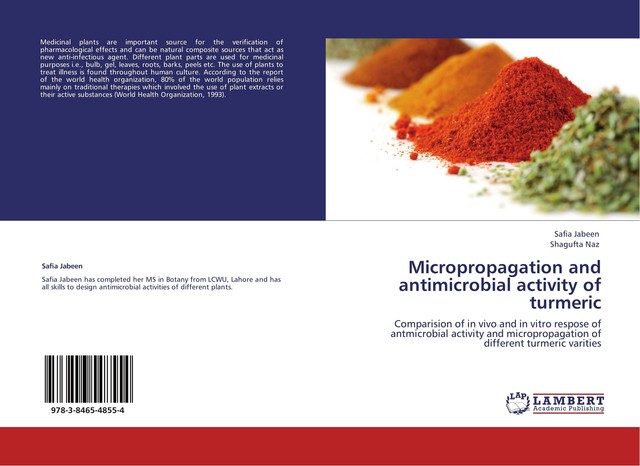Micropropagation And Antimicrobial Activity of Turmeric von Safia ...
