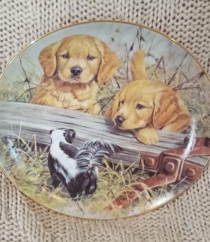 First Encounters Series STAND-OFF by Roger Cruwys Puppies & Skunk 8 ...