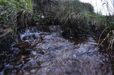 Photo 12x8 Exmoor : The River Exe Simonsbath A trickle of the River Exe ...