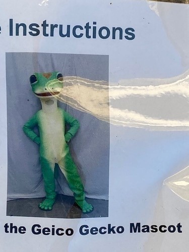 Geico Gecko Mascot Costume by Olympus Mascot Division | eBay