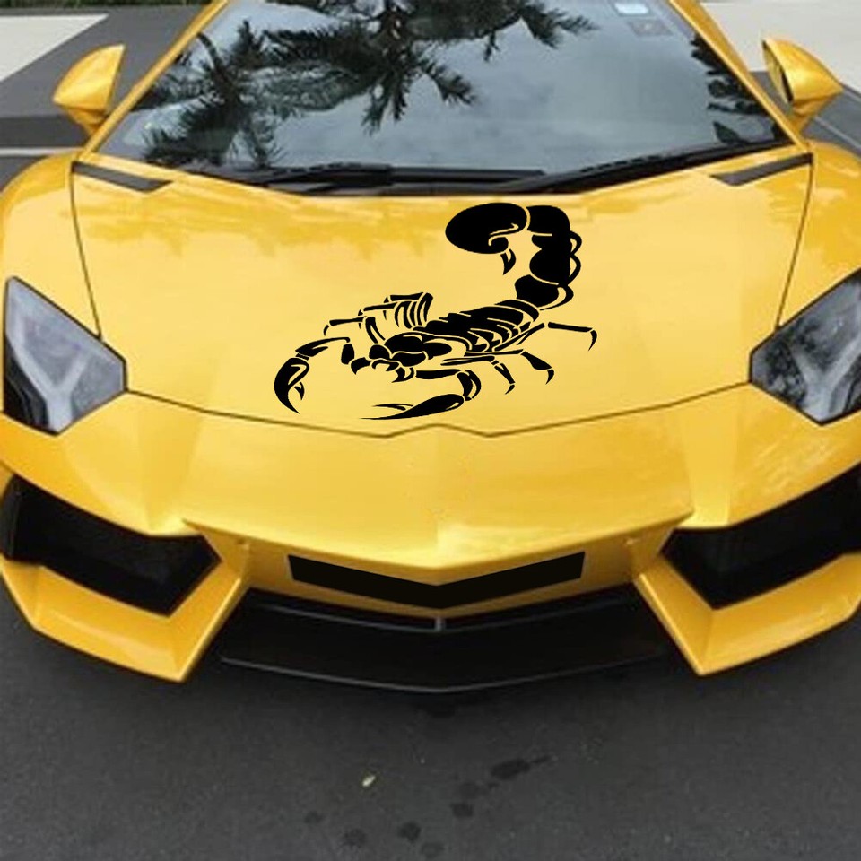 Black Scorpion Car Hood Decals Decals Sticker Self-Adhesive Graffiti ...