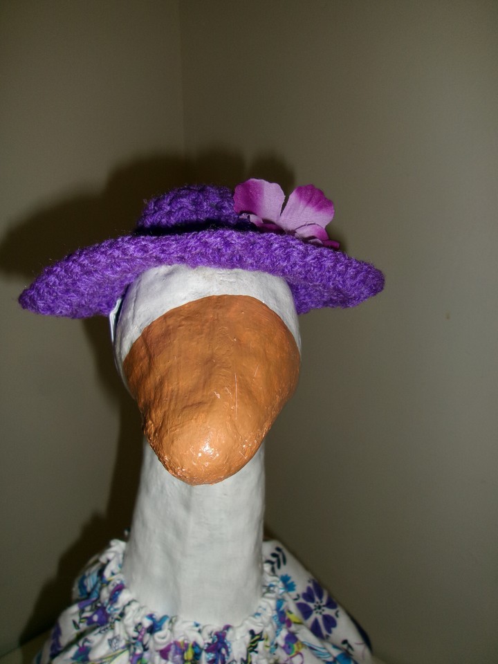 Best Dressed goose geese clothes outfits 25-27" LARGE Spring Summer ...