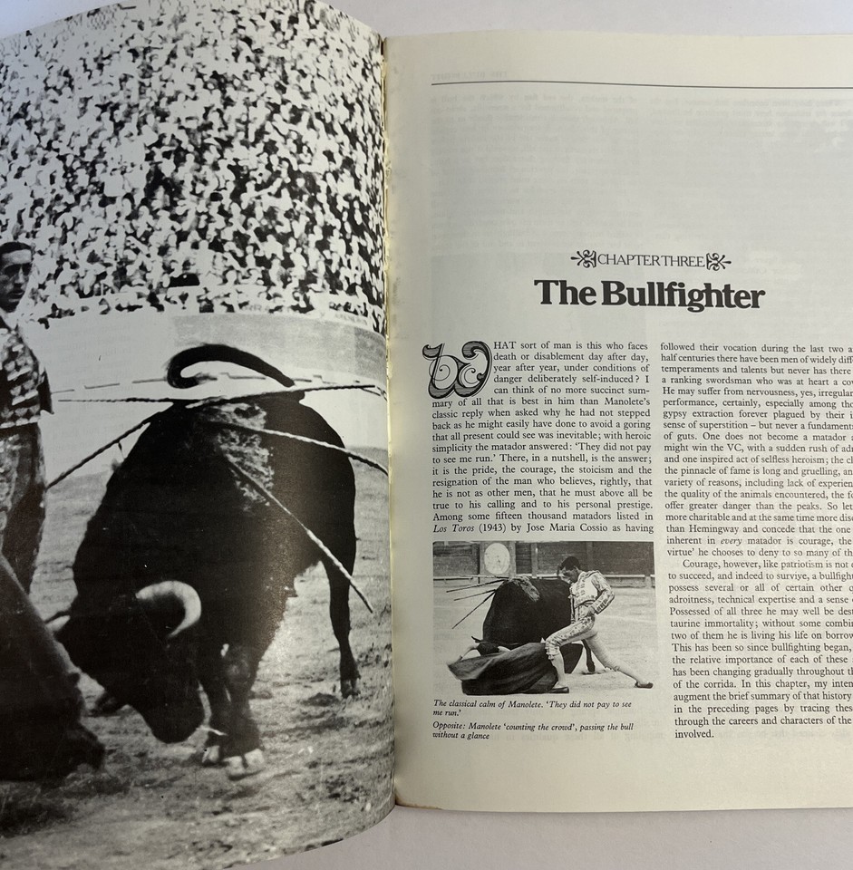 The Bullfighter by Doddy Hay | eBay