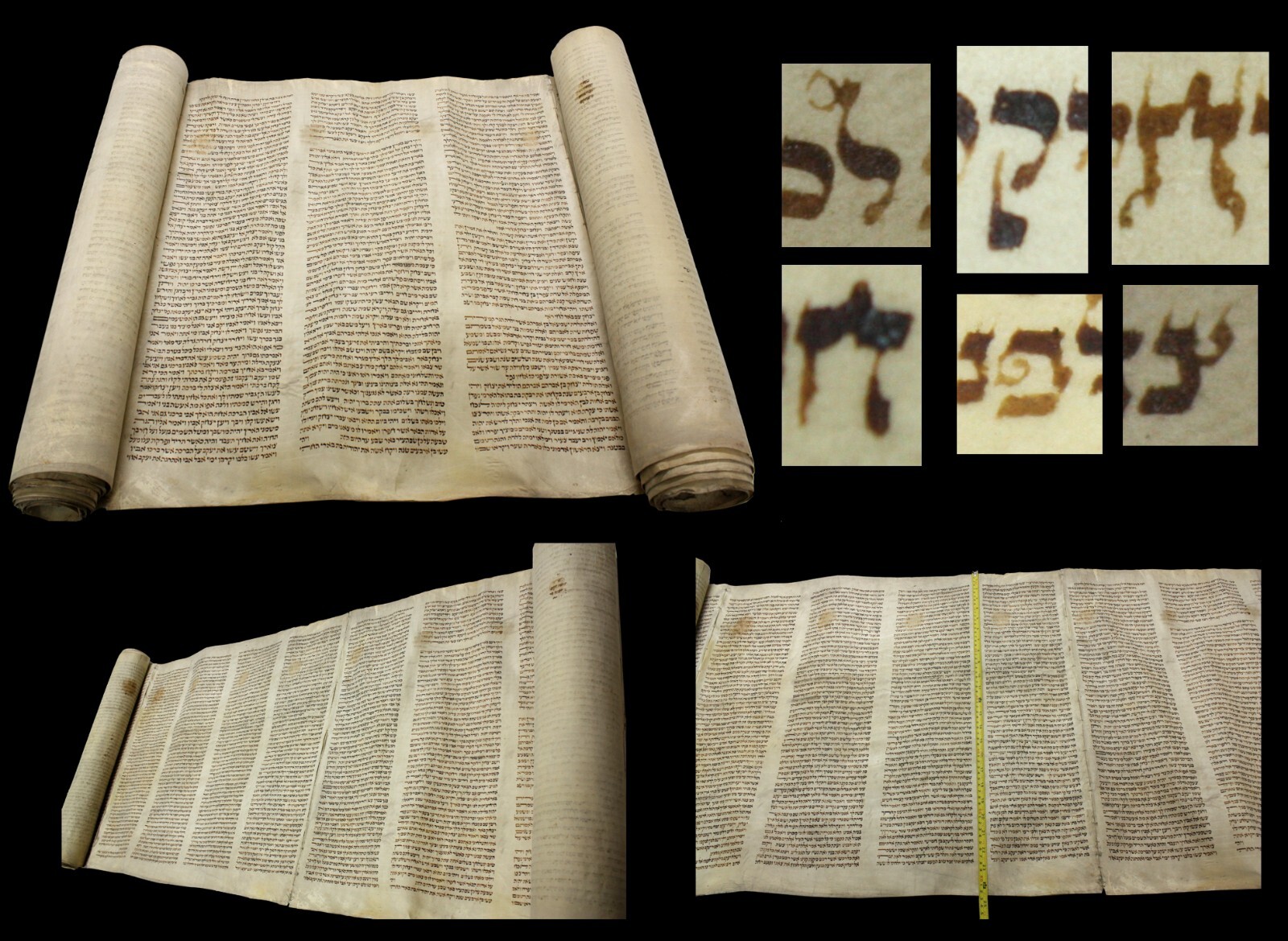 COMPLETE TORAH BIBLE Genesis LARGE VELLUM SCROLL JUDAICA GERMANY 1600's ...