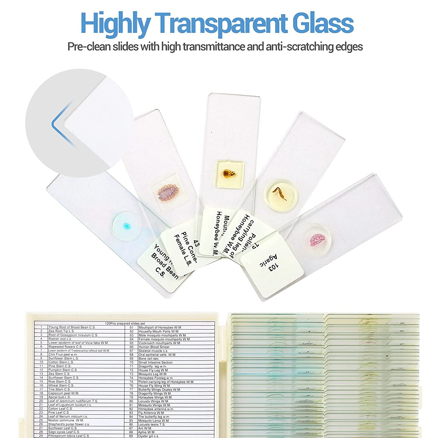 120 Microscope Slides with Specimens for | Grelly UK