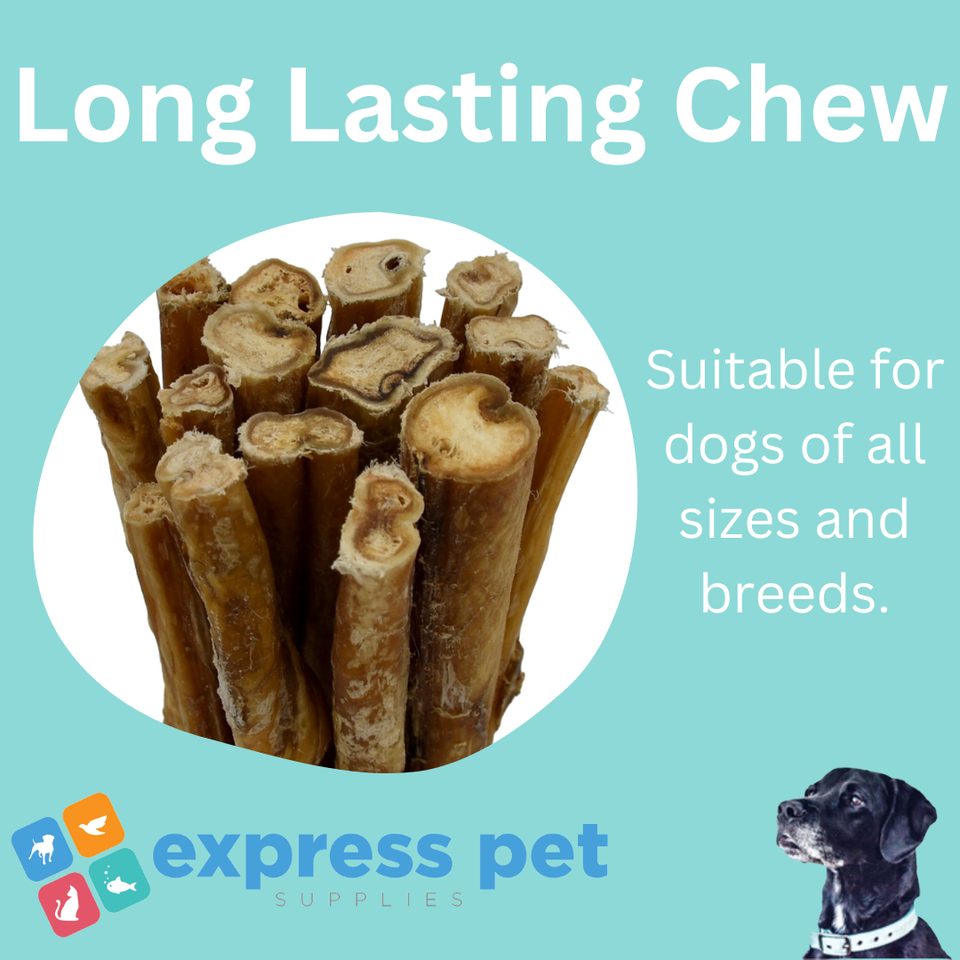 Buffalo Pizzles Dog Treats Chew High Protein Low Fat 100% Natural Air ...