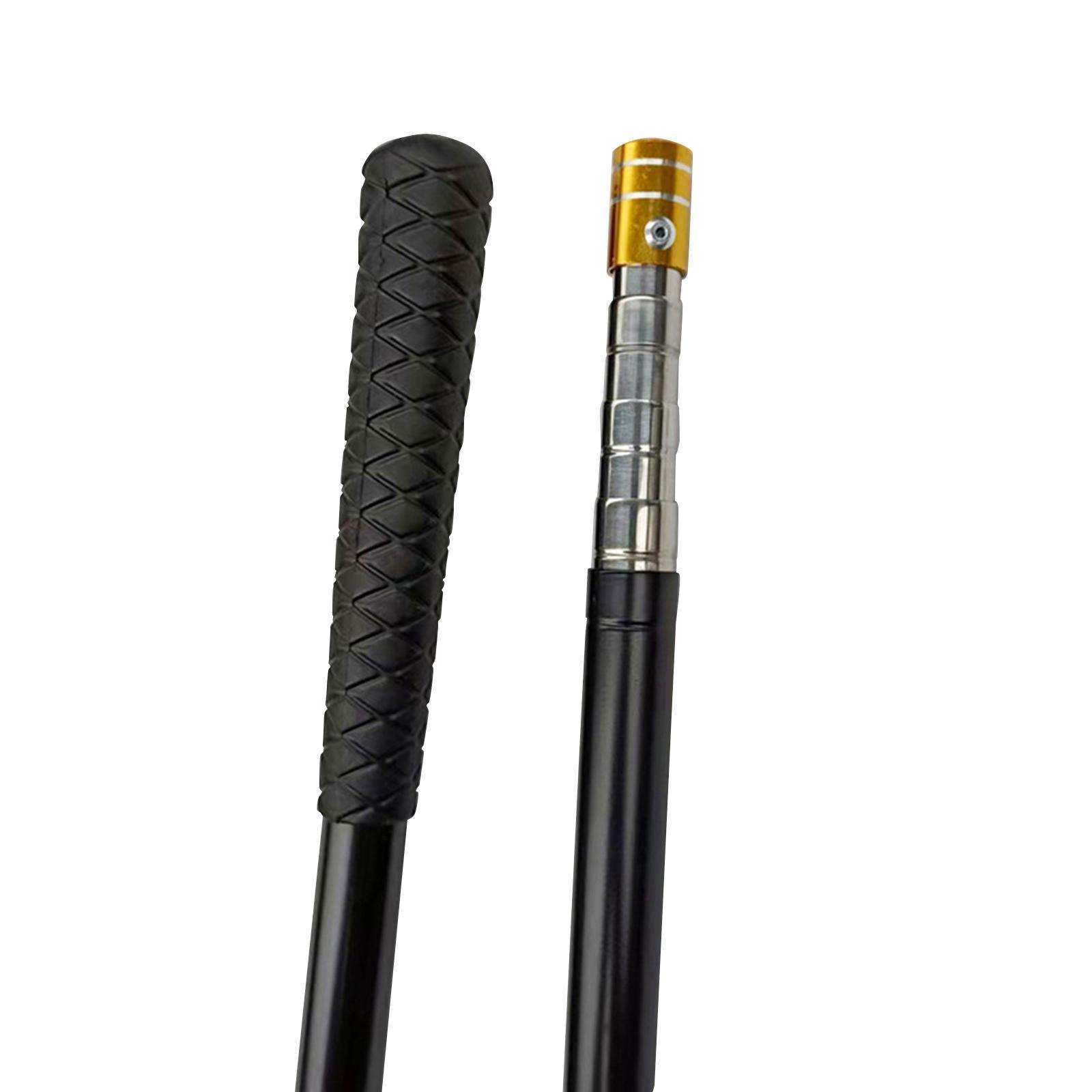 Telescopic Fishing Landing Net Extension Rod for Lakes The Sea | eBay