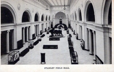 Chicago Illinois Stanley Field Hall Field Museum of Natural History ...