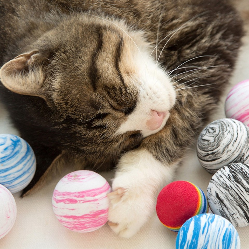 Cat Play Balls Kitten Toys Sponge Balls Cats Bouncing Balls Small | eBay