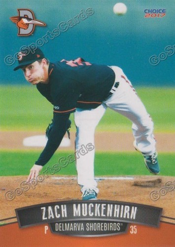 2017 Delmarva Shorebirds Zach Muckenhirn RC Rookie Baltimore Orioles | eBay