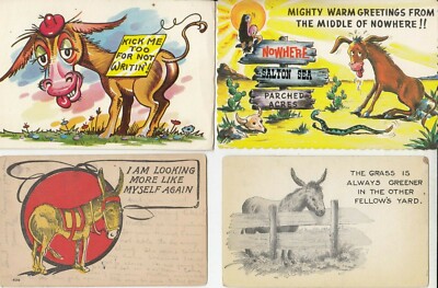 Vintage 4 lot Donkey Mule Jackass Burro Postcards, Nowhere, Not Writin ...