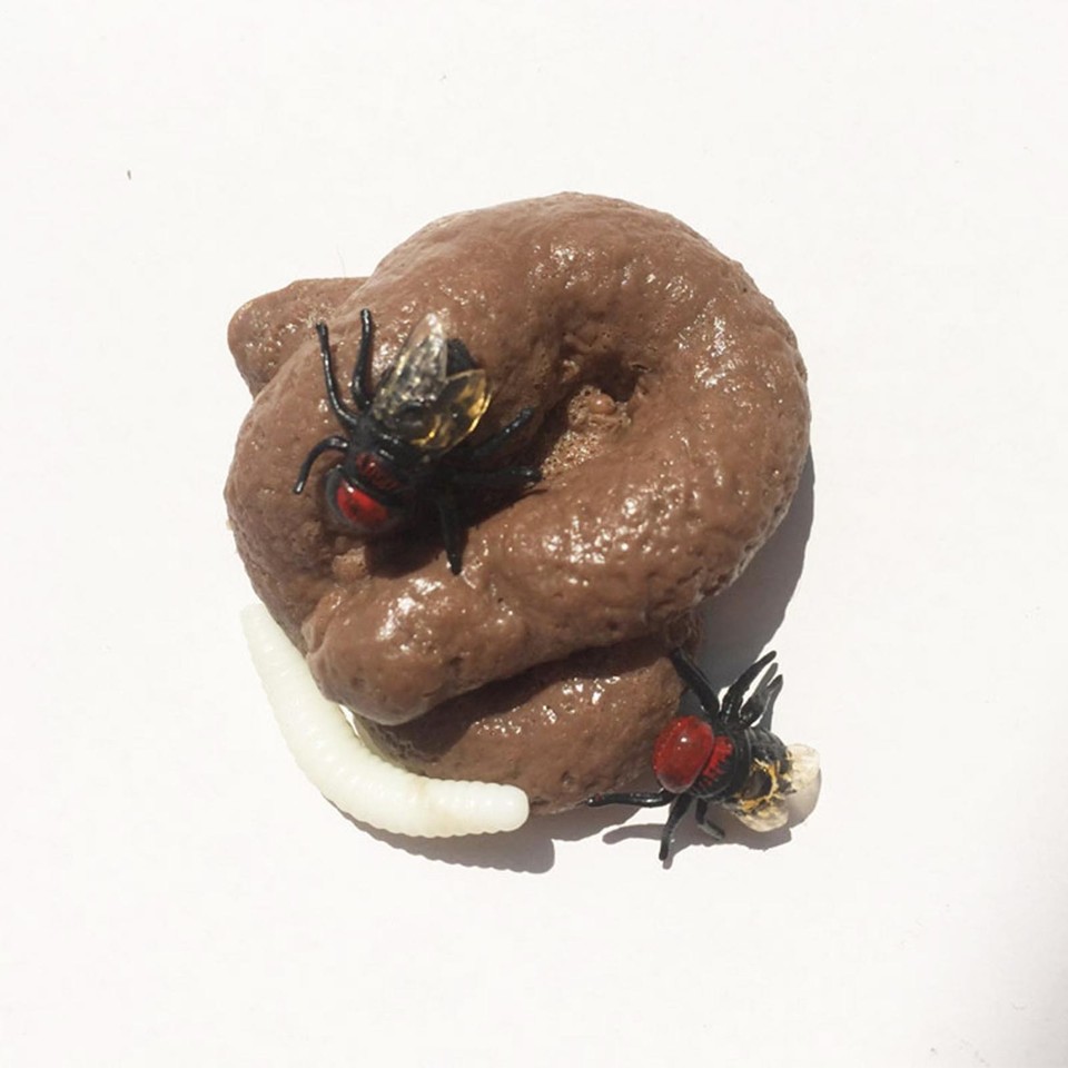 6* Realistic Soft Fake Dog Poop,Pranks Gag Joke/Party Gift Toys Poo TPR ...