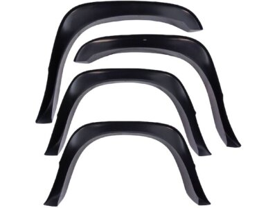 Trail Ridge 41MH98T Fender Flare Hardware Kit Fits 2002-2008 Dodge Ram ...