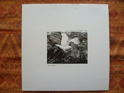 BRIDGET HAYDEN - A Siren Blares in a Indifferent Ocean ( LP - 2011 ...