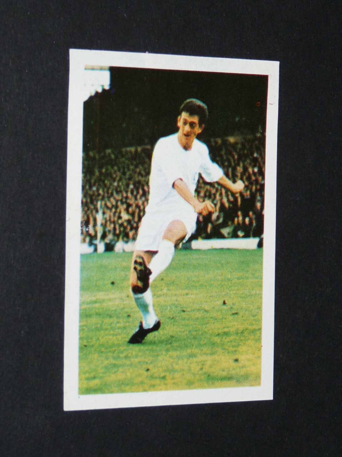 #128 TERRY HIBBITT LEEDS UNITED PEACOCKS FKS PANINI FOOTBALL ENGLAND ...
