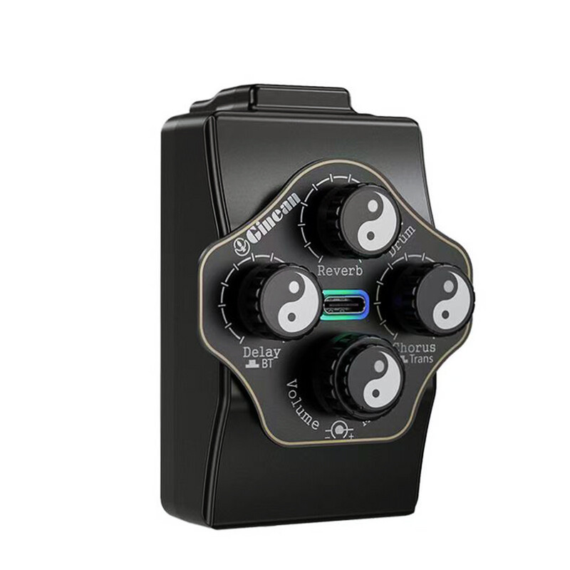 Acoustic Guitar Sound Box Vibration Pickup Reverb Chorus Delay Drum ...