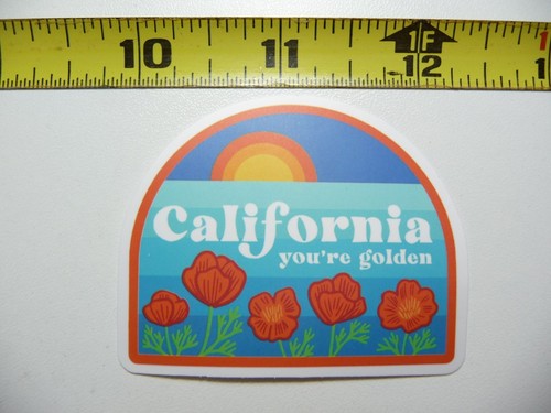 CALIFORNIA DECAL STICKER YOUR GOLDEN MEMORIES COLLECTIBLE SOUVENIR | eBay