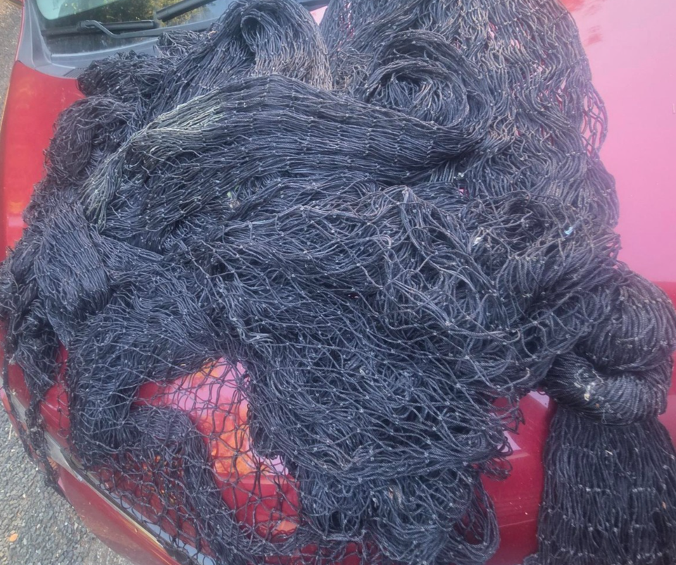 Approx 7x25 Feet Authentic Used Black Fishing Net Fish Netting -Thinner ...