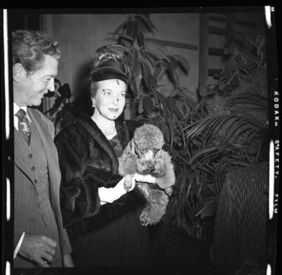 Michael Whelan Hillary Brooke Candid Pose with Poodle Original 2 1/4 ...