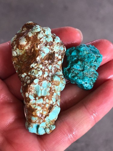Paiute Turquoise Rough Huge Chunk All Natural No Treatments 65g 2 pcs ...