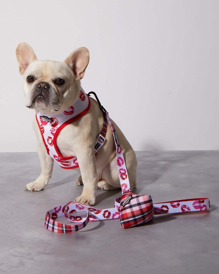 Smooch My Pooch Dog Leash | eBay