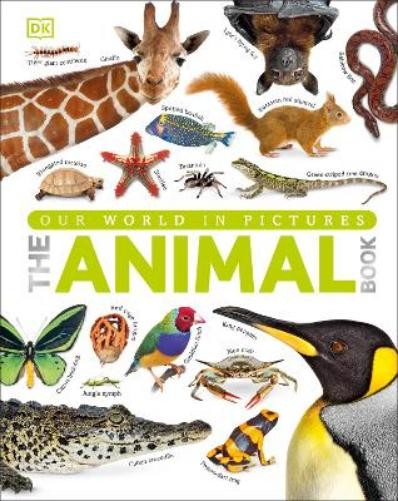 Our World in Pictures The Animal Book (Hardback) (US IMPORT) | eBay UK