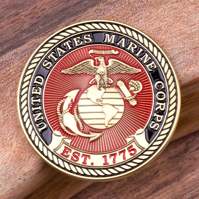 USMC Sergeant Major of the Marine Corps E9 Rank Challenge Coin | eBay