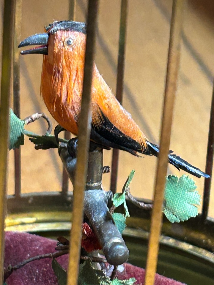 vintage German AUTOMATON SINGING BIRD IN CAGE | eBay
