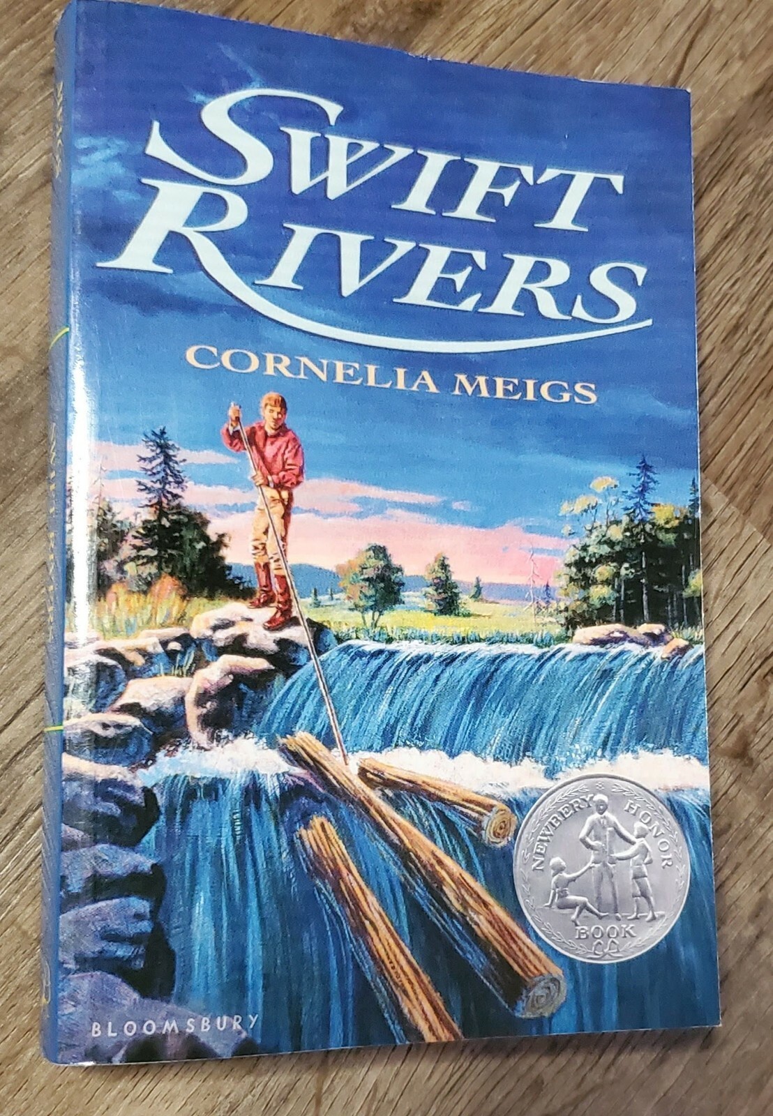 Swift Rivers by Cornelia Meigs (New!) 9780802777034 | eBay