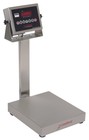 Cardinal EB-150-205, Stainless Steel Bench Scale, 150 lb x 0.05 lb ...