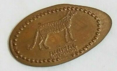 Disney Animal Kingdom Wild Cat Elongated Pressed Penny Cheetah Leopard ...