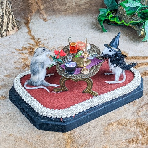 Love Spell Witch Mice display Taxidermy Oddity Curiosity Decor ...