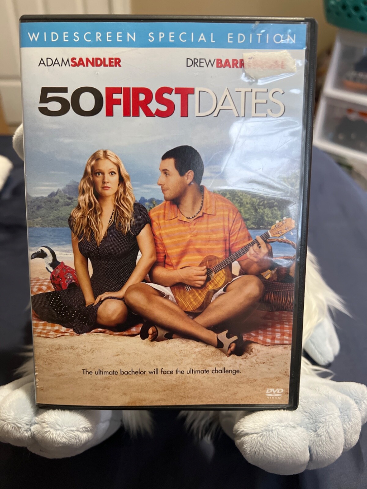 50 First Dates (DVD, 2004) Used Widescreen Special Edition 43396014268 ...