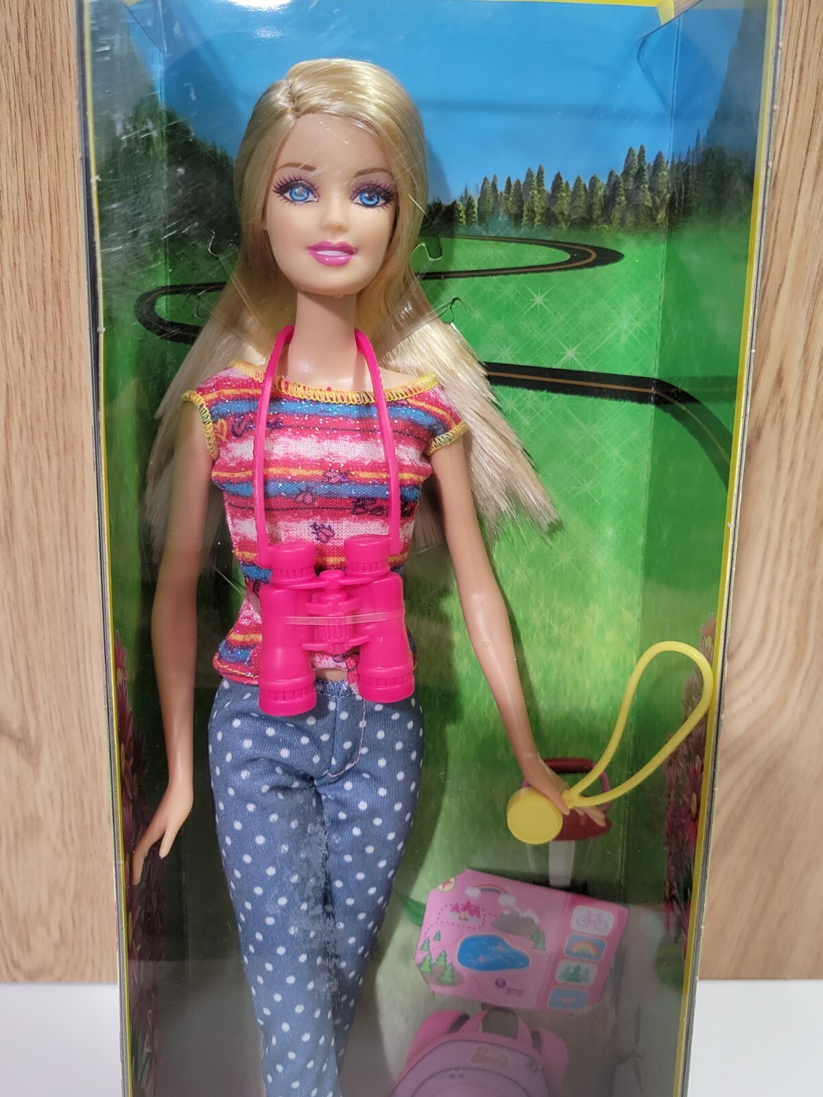 Barbie Life in the Dream House The Amaze Chase Barbie 2013 Mattel # ...