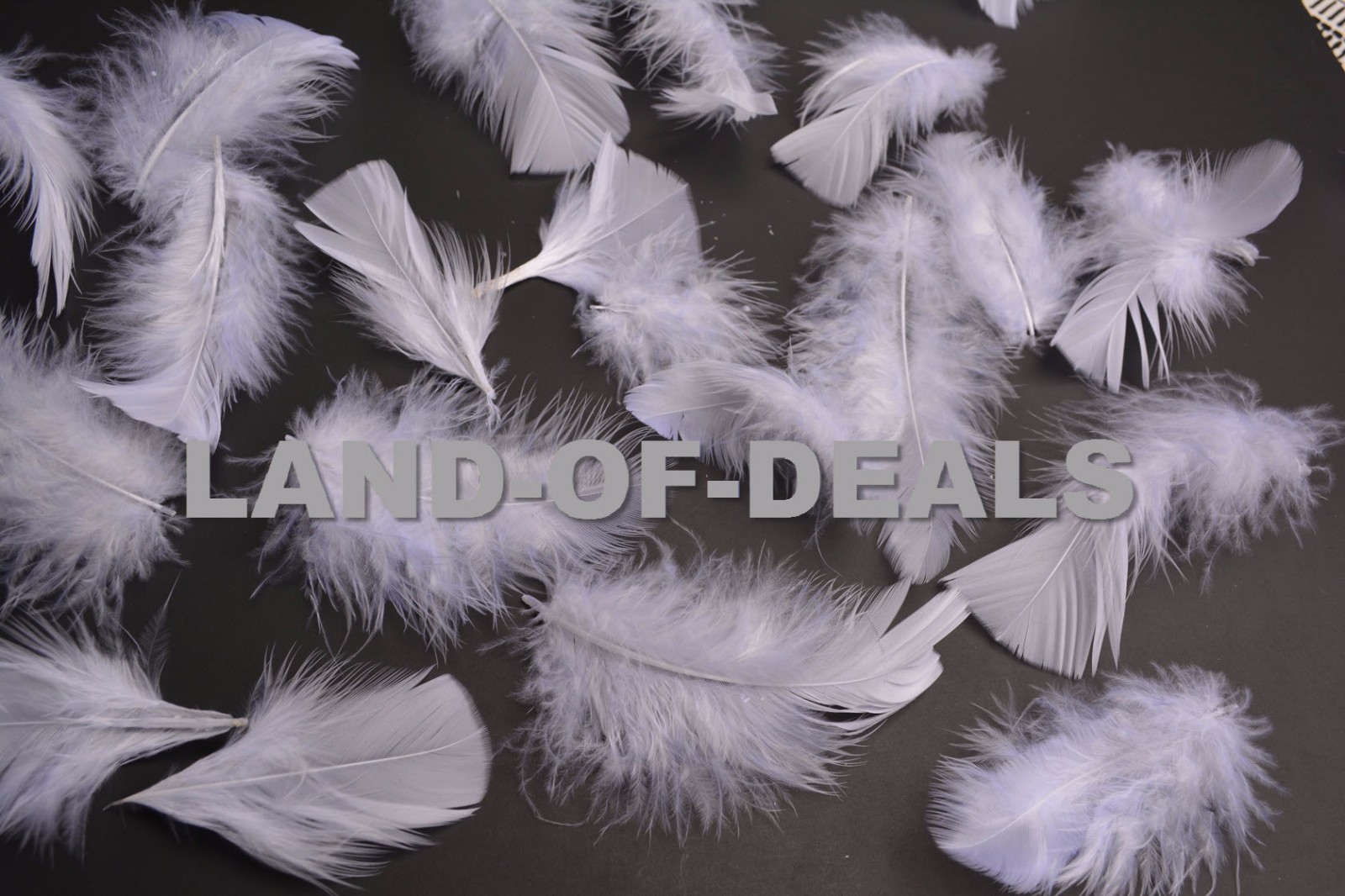 400+ Natural White turkey feathers loose small feathers plumage 2 oz | eBay