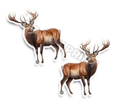 Stag Vinyl Stickers NATURE Antlers Great Outdoors BUCK ANIMAL DECALS ...