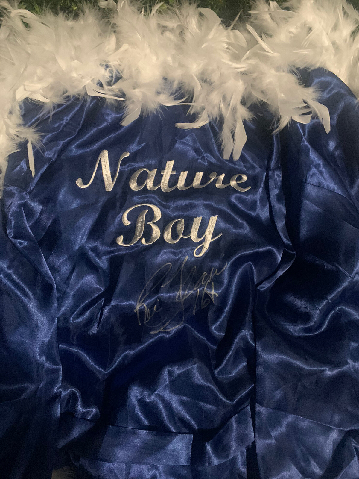 Ric Flair Signed Feather Robe Blue Nature Boy WWF Wrestling Autographed ...
