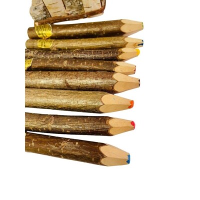 Inntrax Twig Wooden Crayons Home Decor Mixed Colours With Holder Made ...