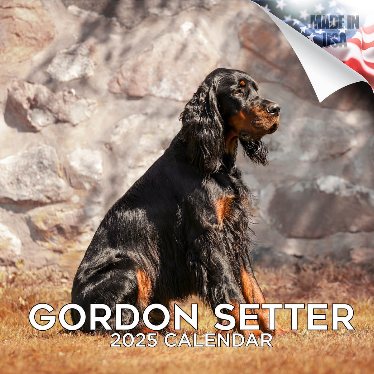 Old Gordon Setter Dogs