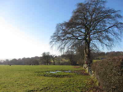 Photo 12x8 Footpath and field boundary near Manmoel c2016 | eBay UK