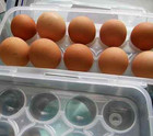 Lock & Lock 12 Large Eggs Egg Storage Plastic Container for ...